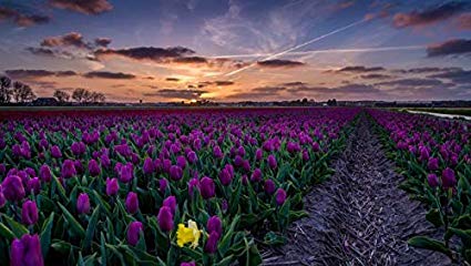 Chugging Along… – Kentucky Girl by Heart