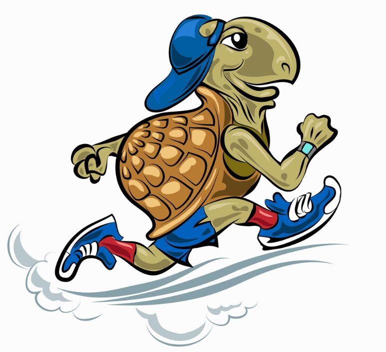 Turtle Pace – Kentucky Girl by Heart